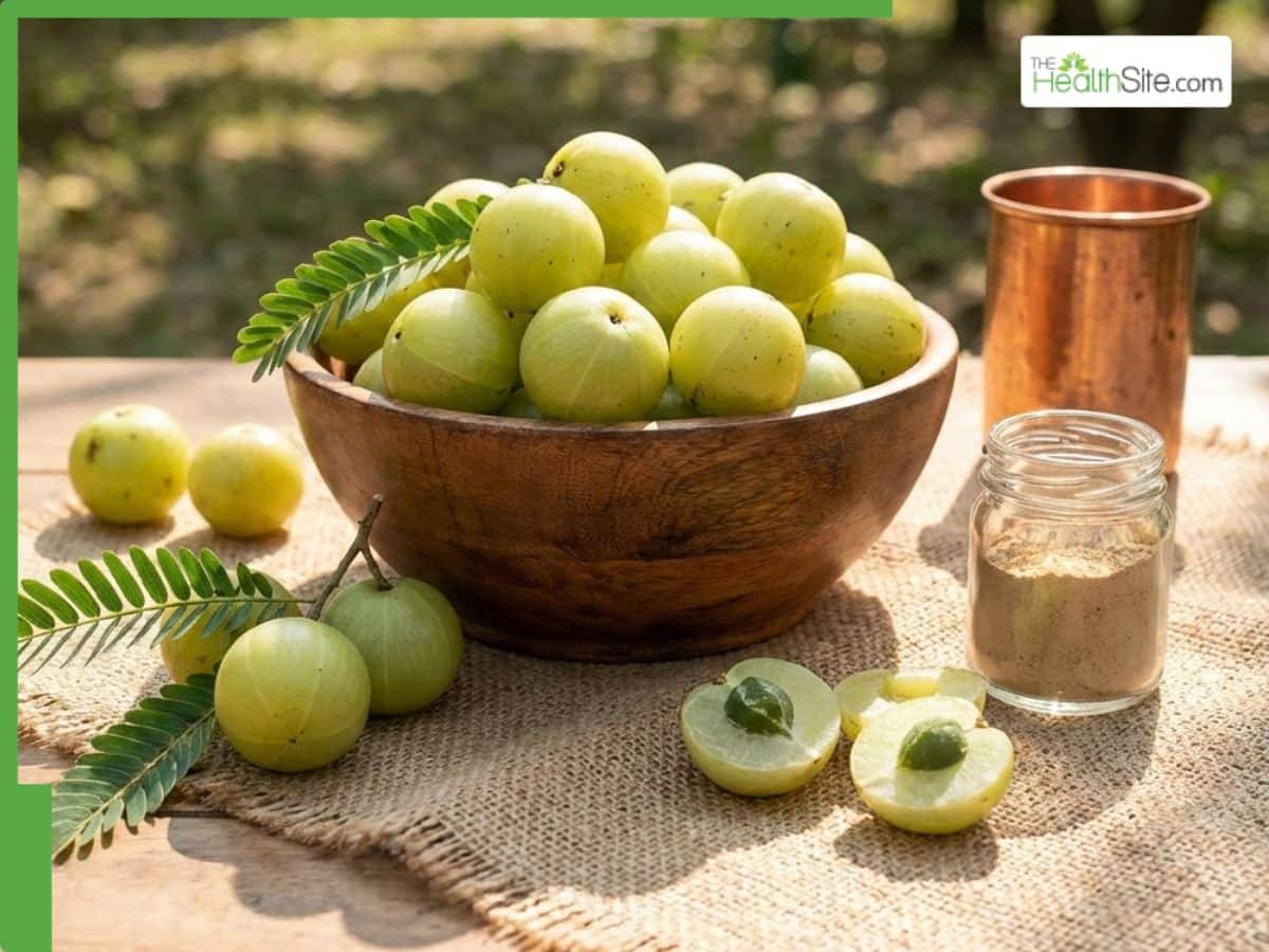 Benefits Of Amla In Winter: What Happens If You Start Chewing 1 Amla Every Morning On Empty ...