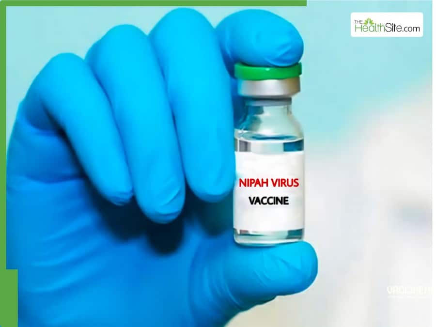 New Nipah Vaccine Shows Safety And Immune Protection, Says The Lancet ...