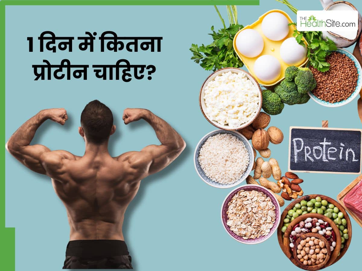 1 Din me Kitna Protein Lena Chahiye | 1 दिन में कितना प्रोटीन लेना ...