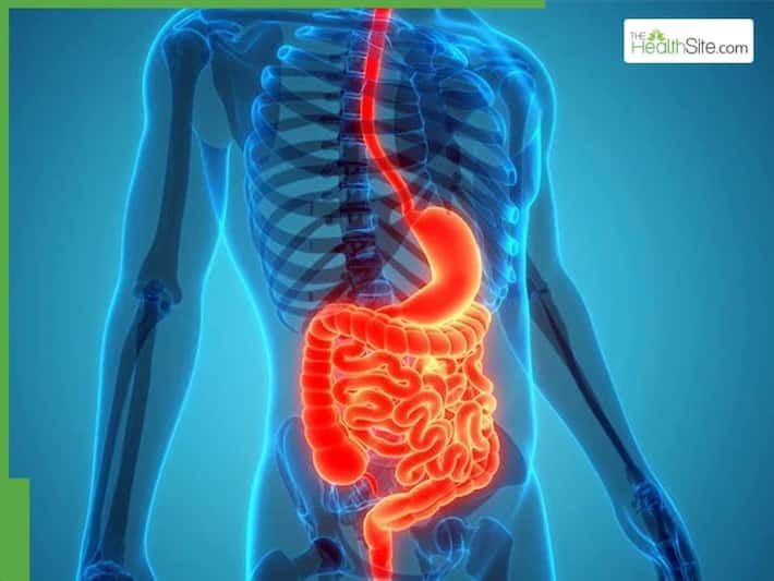 Benefits Of Amla: 5 Reasons To Consume Gooseberry Daily On An Empty ...