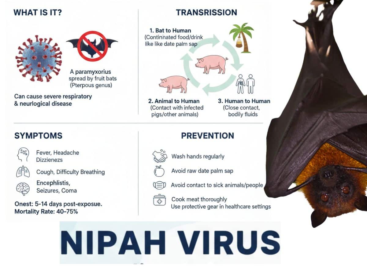Nipah Virus Outbreak In India: Will There Be Lockdown Again? Airports ...