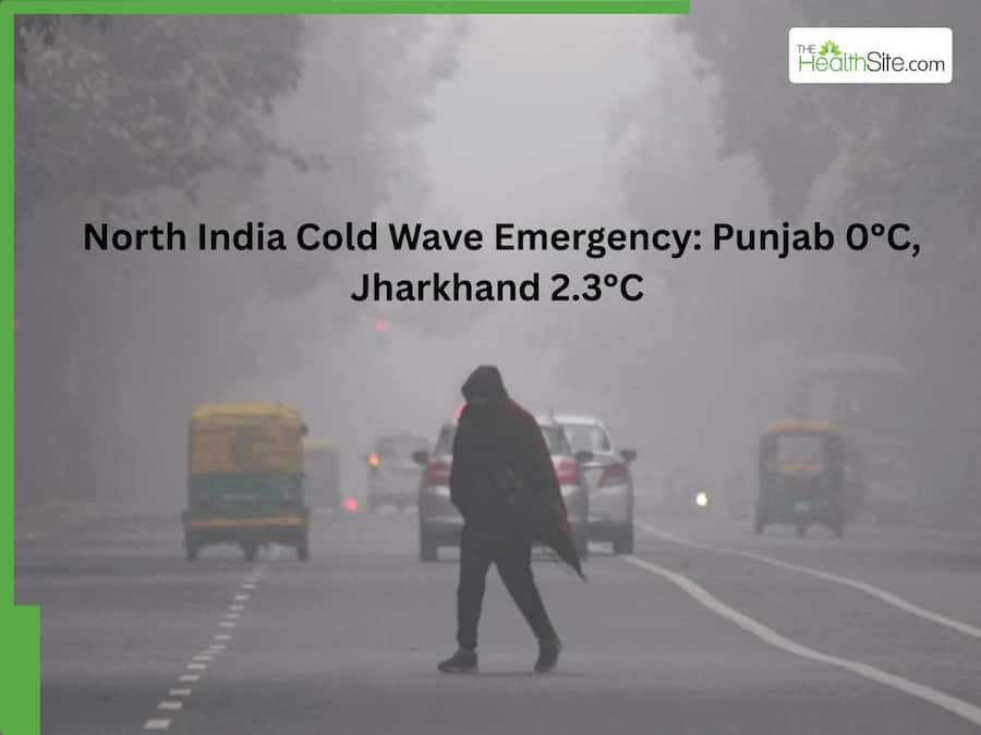 Severe Cold Wave Grips North India: Punjab Hits 0°C, Jharkhand 2.3°C ...