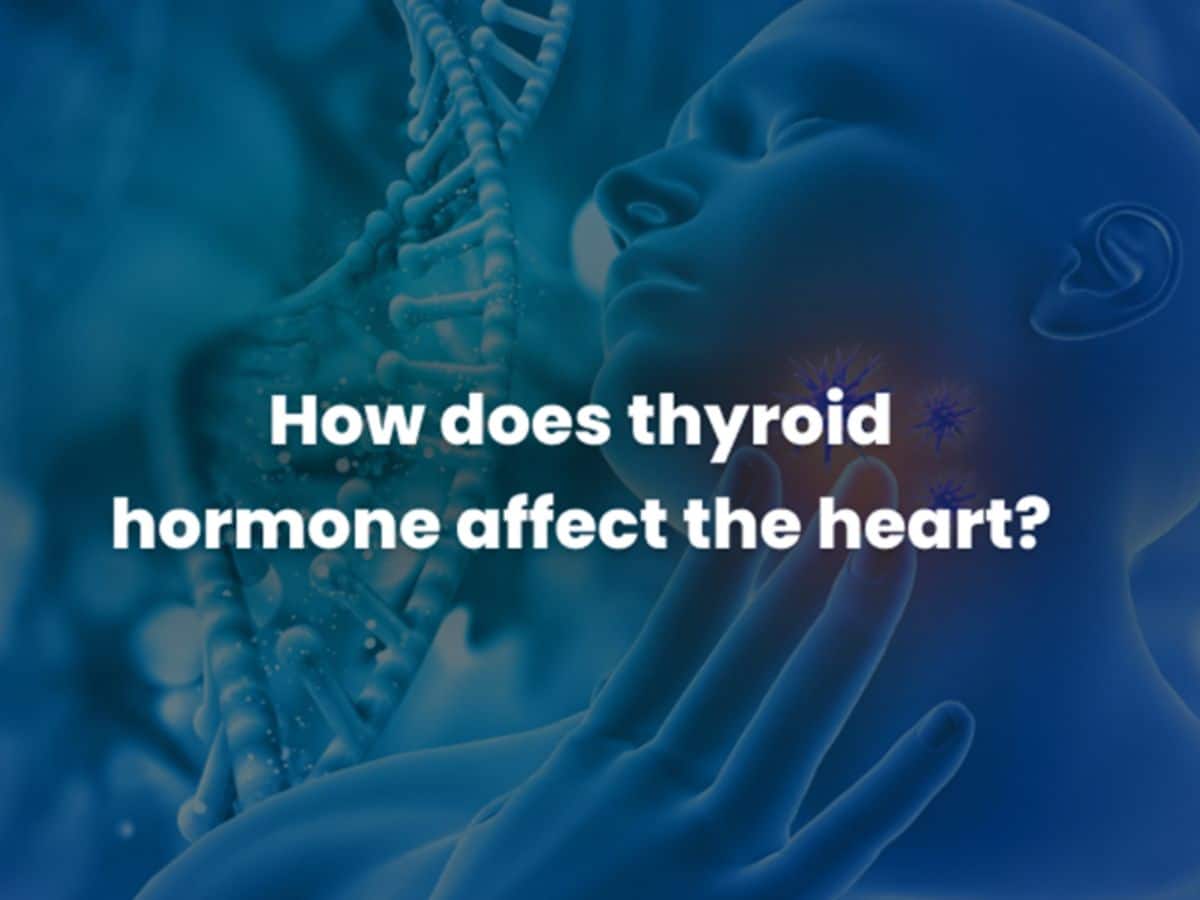 Thyroid Hormone: How Does It Affects Your Heart | TheHealthSite.com