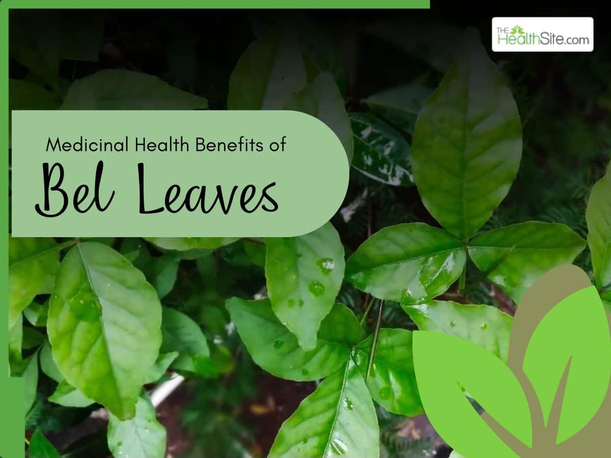 Maha Shivratri 2026: Top 10 Incredible Medicinal Benefits of Bel Leaves ...