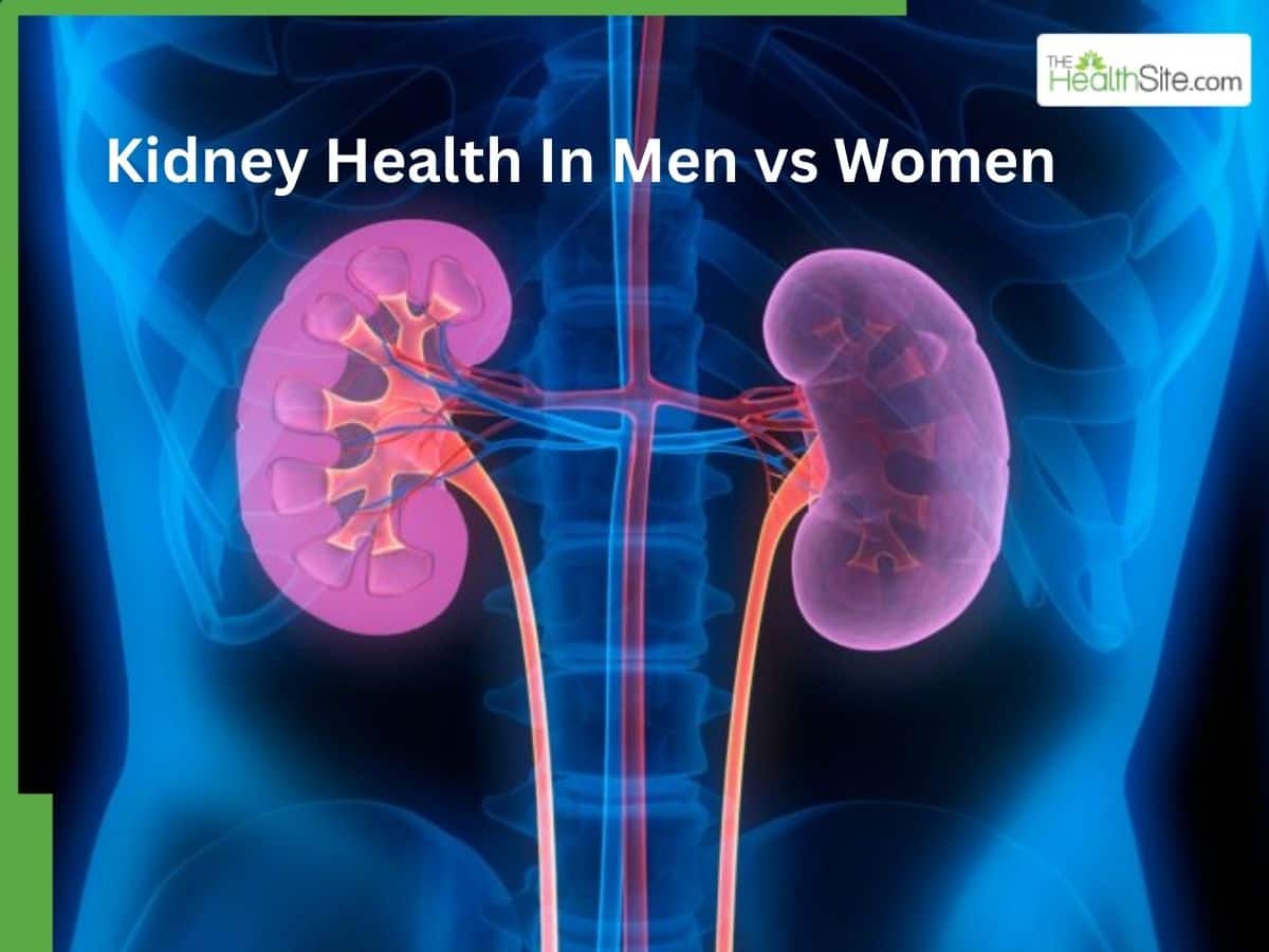 Kidney Health In Men vs Women: Differences In Kidney Stones, UTIs And ...