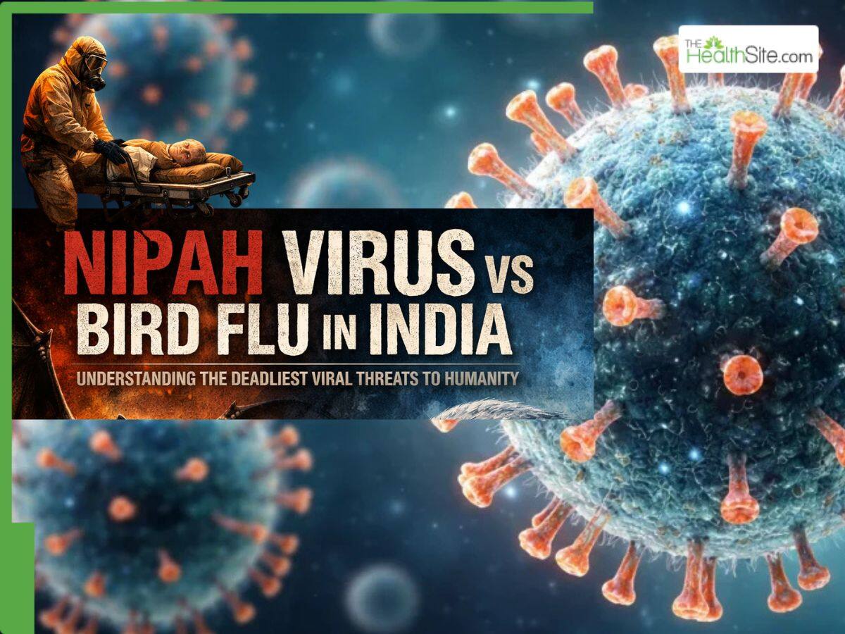 Nipah Virus Vs Bird Flu Outbreak In India: Which Viral Infection Could ...