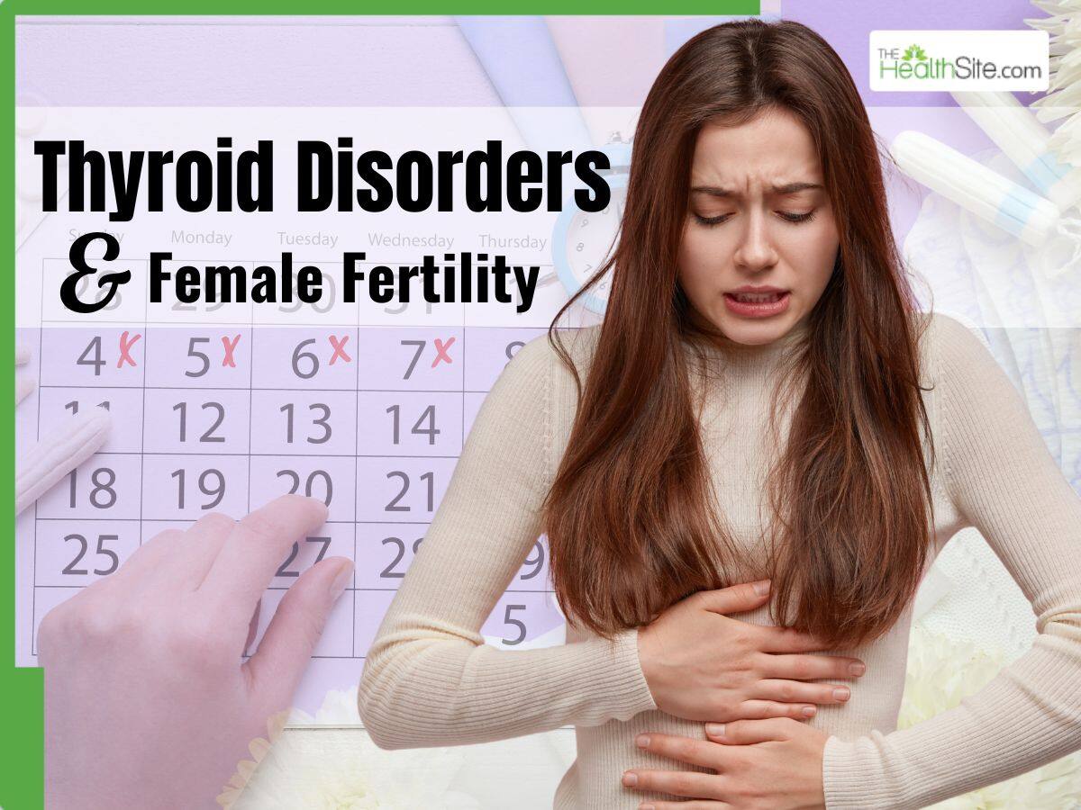 Thyroid Disorders And Female Fertility: How Thyroid Imbalance Affects ...