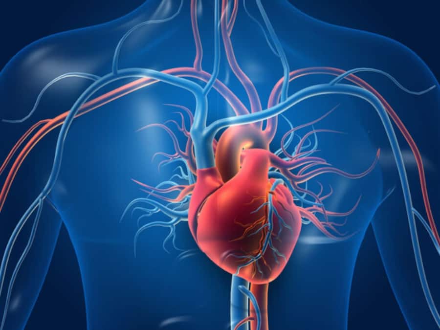 Heart blockage explained: Causes, early warning signs, risk factors and ...