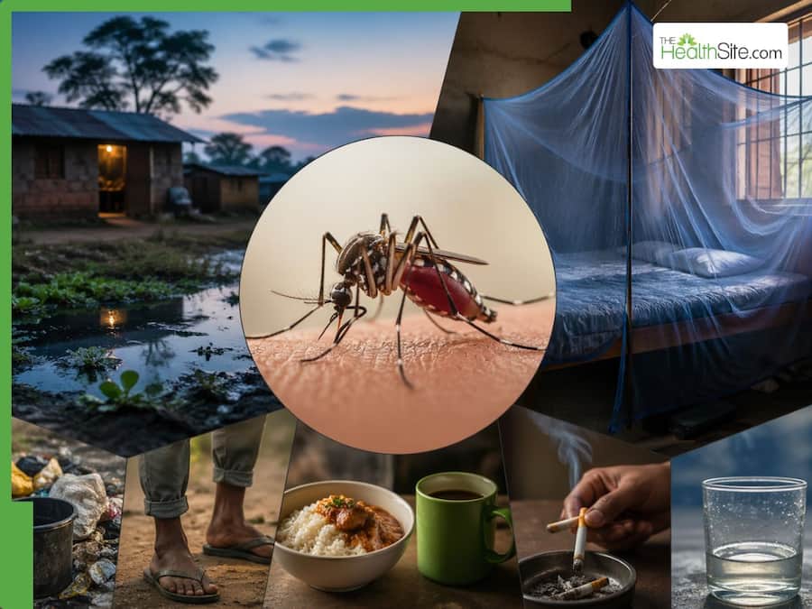 Malaria beyond mosquito bites: How your daily habits and living ...