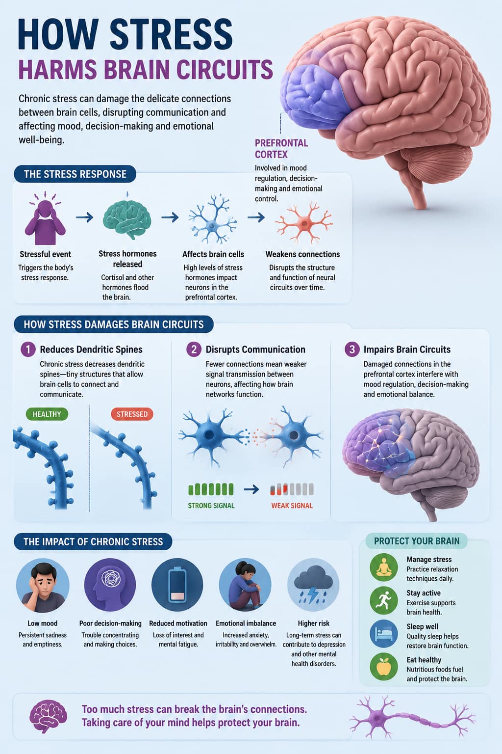What is transcranial magnetic stimulation? Study finds TMS helps ...