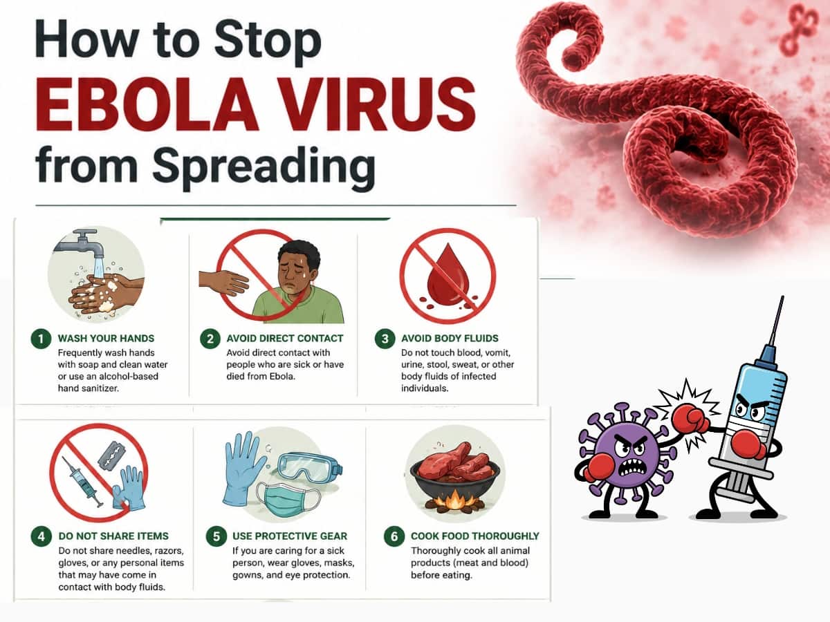 New Ebola strain to Hantavirus and Nipah virus: 5 deadly viral ...