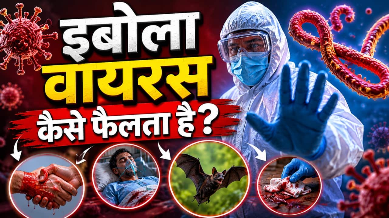 इबोला एक से दूसरे व्यक्ति में कैसे फैलता है? जानें इससे बचाव के लिए ...