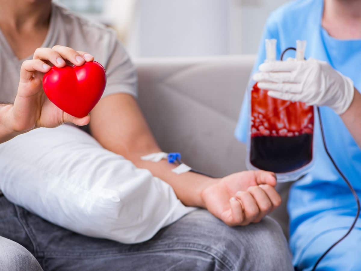 Can blood donation lower cholesterol? Cardiologist explains the link ...